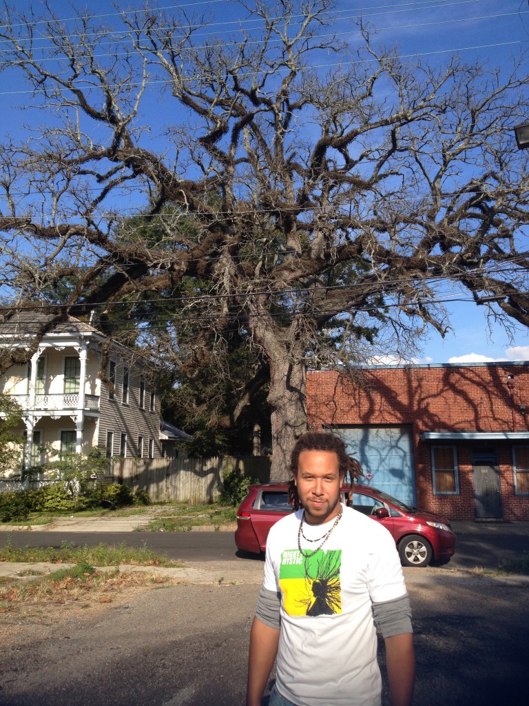 Mystic and the Spooky Old Tree - mightymystic.com